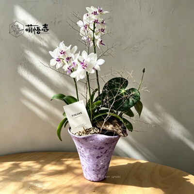 景德镇轻奢托特高脚陶瓷花盆