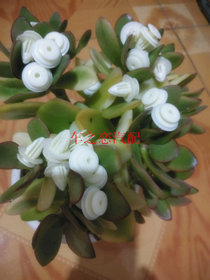 汽车门板通用内饰裙边加强