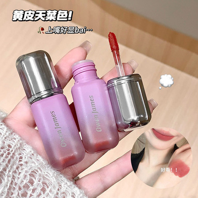 韩系丝绒雾面持久低饱和唇釉