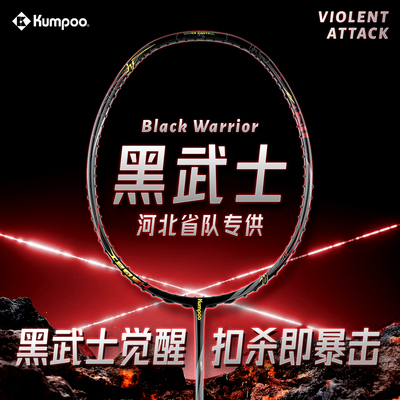 熏风河北省队黑武士羽毛球拍