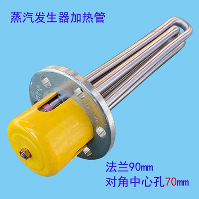友谊锅炉电加热棒蒸汽发生器江心