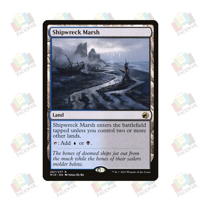 牌客窝 万智牌  碎船沼地 Shipwreck Marsh 金 地 闪