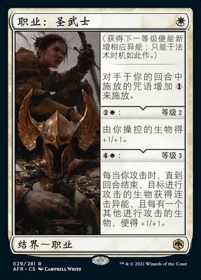 职业圣武士卡牌万智牌