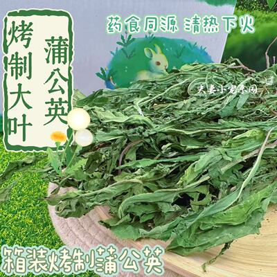 蒲公英干草消炎兔子龙猫食用50g