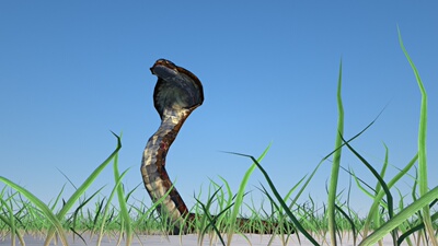 蛇3d模型动画素材obj,fbx,maya蛇 3dsmax蛇虚幻ue4blenderc4d王蛇