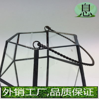 26001a包邮!工厂花房微景观几何多肉植物玻璃直销多肉玻璃花房