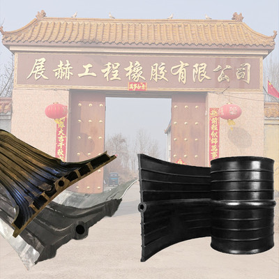 中埋式橡胶止水带651型钢边外贴背贴式EVA可卸式pvc塑料止水带ECB