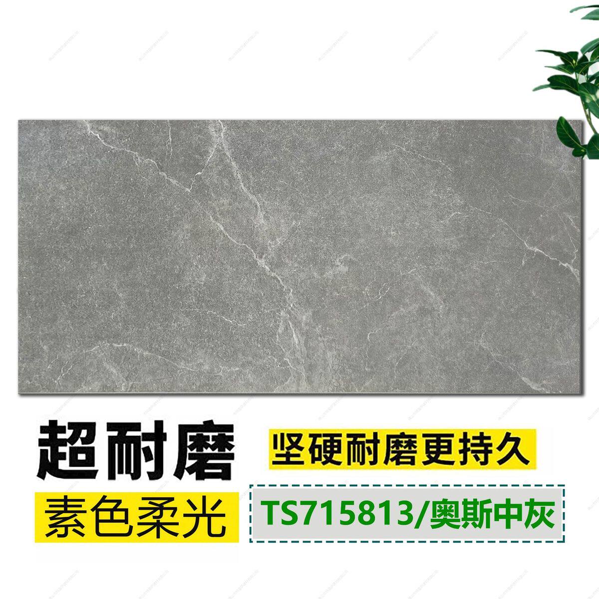 地板砖微水泥石英砖柔光瓷砖750x1500通体大理石客餐厅素色