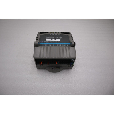 Giddings & Lewis M.1300.7372 R1 输入模块 24VDC 粉色/来源库存
