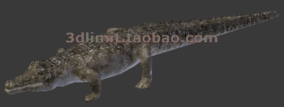 鳄鱼模型obj格式带贴图适用于3dMax C4D 犀牛rhino Maya sketchup