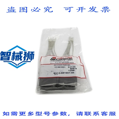 原装供应 HELWIG CARBON PRODUCTS 13-681691（4 件装）NSMP