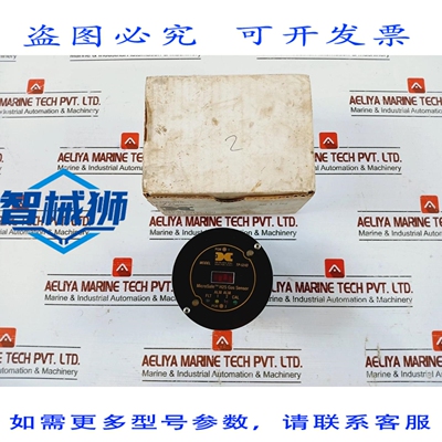 原装供应 H2S MICROSAFE DETCON TP-524D 0-100 PPM 925-015400-1