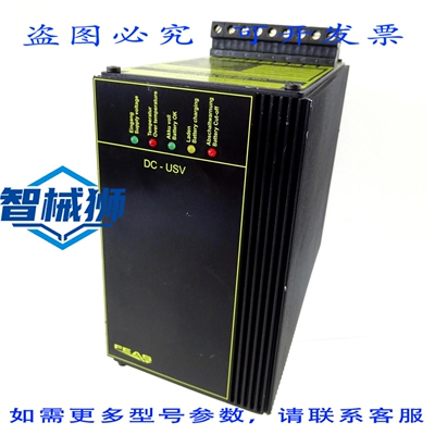原装供应 FEAS LDR5012-6 ，带充电控制器，直流 蓄，输出 12VDC