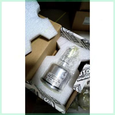 议价科易 autoflame MM60004/HSU检测器再拍