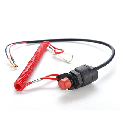 OutboardKillSwitch
