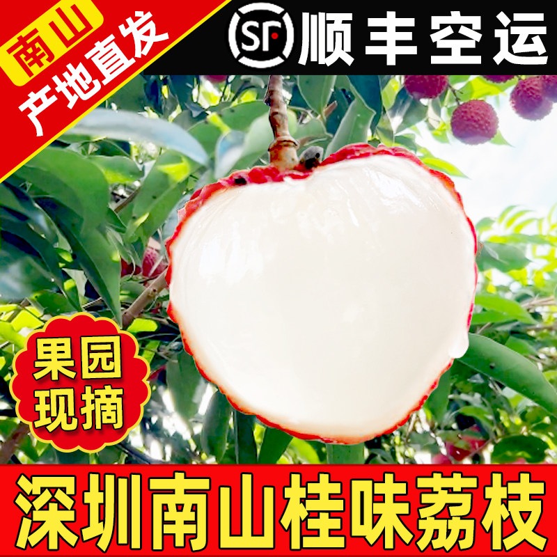 【果园直发】广东深圳南山荔枝桂味小核应季新鲜水果老树荔枝包邮