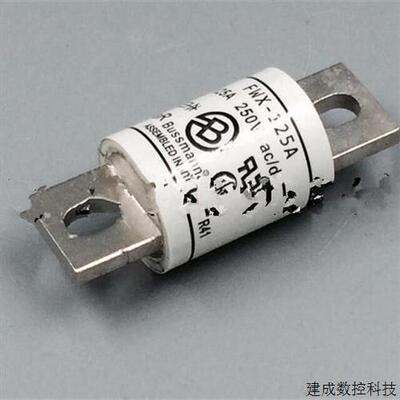 议价FWX-100A美国Bussmann巴斯曼FWX-125A快速熔断器保险丝 直拍