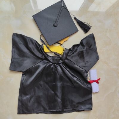 洋娃娃抱抱熊泰迪熊Duffy达菲熊毛绒玩具公仔玩偶学士服毕业服衣