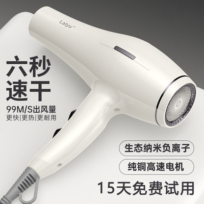 德国家用9999W负离子速干电吹风