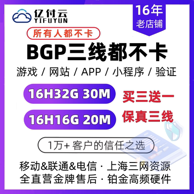 多线BGP服务器高防云服务器租用独享带宽高配网站云服务器主机