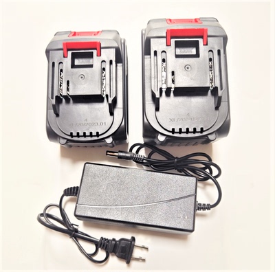 德国ronix 大略20V 21V扳手鼓风机吹风机吹雪机洗车锂电池充电器