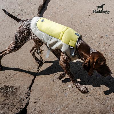 blackdoggy狗狗凉凉背心