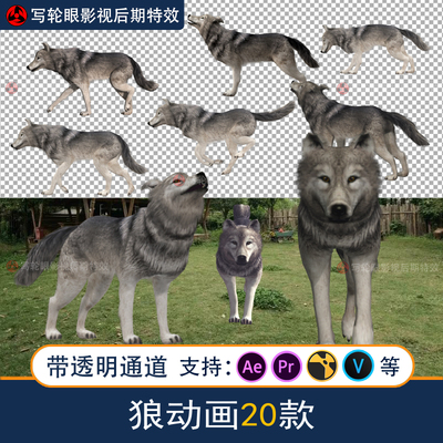 狼群野狼嚎三维动画大全影视特效CG动画素材MOV带透明通道