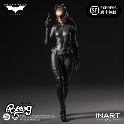 INART蝙蝠侠黑暗骑士崛起猫女