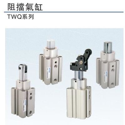 FESTO SLT-20-80-A-CC-B 197905议价