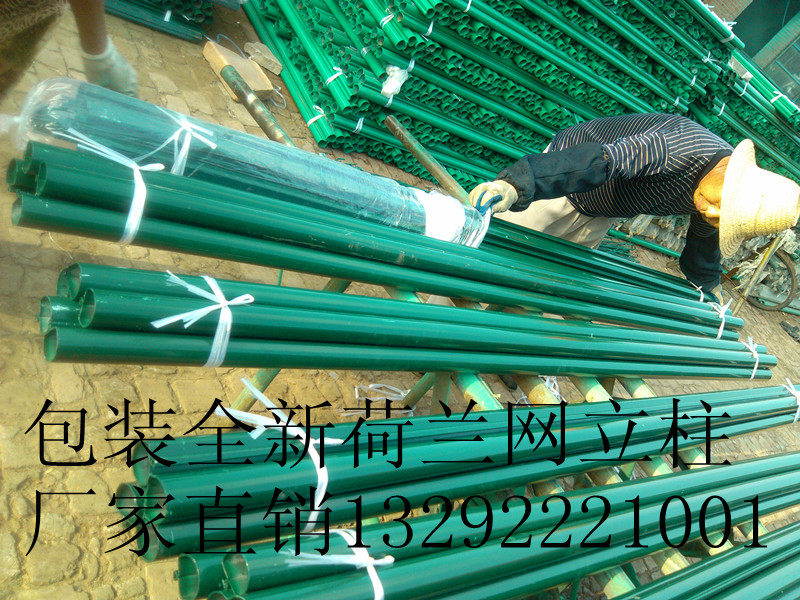 立柱隔离栅荷兰网护栏、养殖家禽铁丝网、养鸡网、防护铁丝网
