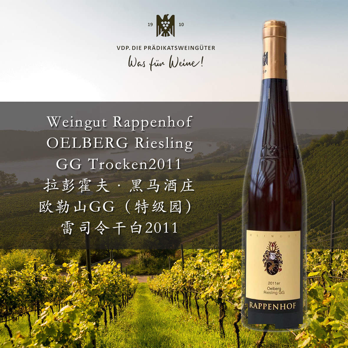 尖货儿干白 VDP名庄GG Oelberg欧乐山特级园Rappenhof 雷司令