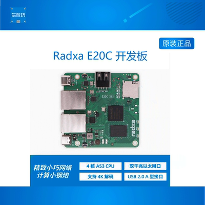瑞莎E20C开发板双千兆口网口