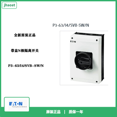 P3-63/I4/SVB-SW/N隔离开关全新