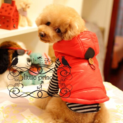 LP小王子宠物服装 皮条扣棉服马甲 狗狗衣服 狗棉服马甲