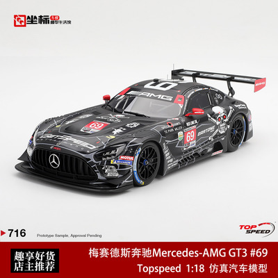 TOPSPEED 1:18 梅赛德斯奔驰AMG GT3 #69骷髅海盗 IMSA树脂模型车