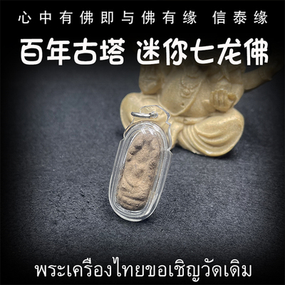 泰国佛牌 鲁士SOLO 百年古塔七龙佛 迷你版 防水外壳 吊坠