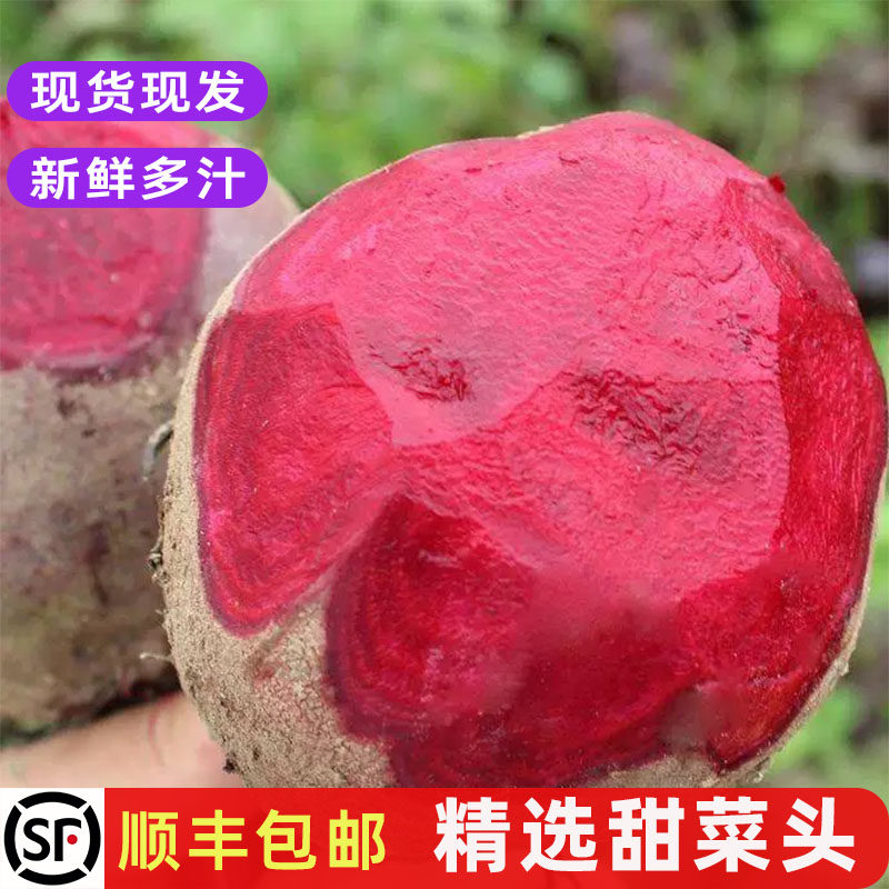 甜菜根新鲜红菜头农家自种去叶紫菜头甜菜头沙拉凉拌榨汁蔬菜包邮