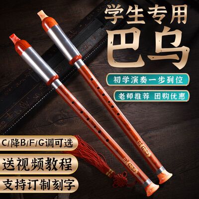竖吹正品巴乌初学者乐器