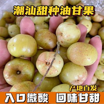 潮汕普宁甜种油甘果汁食用水果