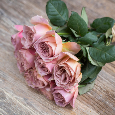 拿铁咖啡coffe latte  咖啡色复古色玫瑰花苗 庭院新西兰切花月季