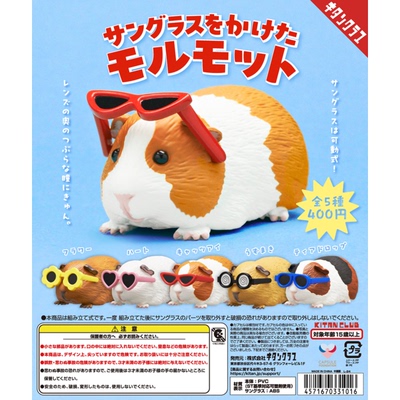 虾壳社 现货日本奇谭扭蛋 戴墨镜的荷兰猪 豚鼠仓鼠可爱 二次再贩