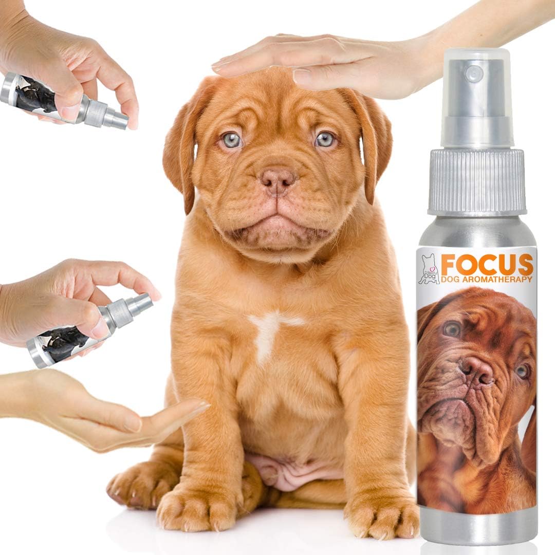 The Blissful Dog狗狗舒缓香薰情绪管理剂焦虑专注型狗狗香薰喷雾