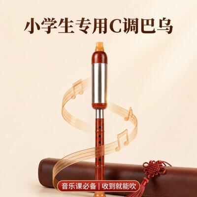 老师推荐小学生专用巴乌乐器C调