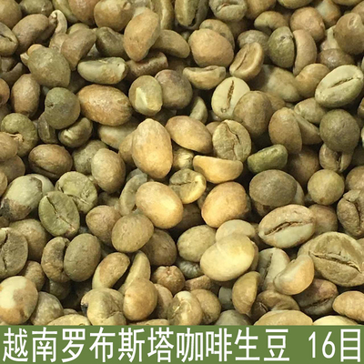 越南罗布斯塔咖啡生豆16目现货