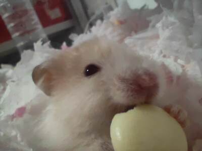 纸制品定制链接，需与客服确认参数后拍付