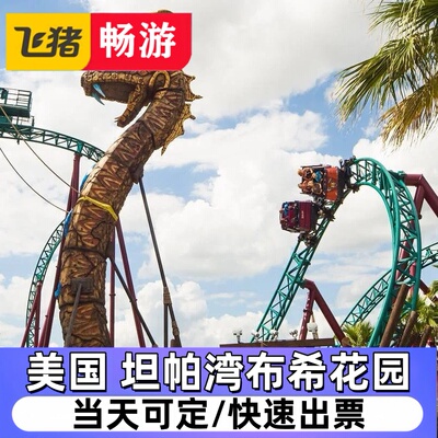 美国 坦帕湾布希花园 新 buschgardens