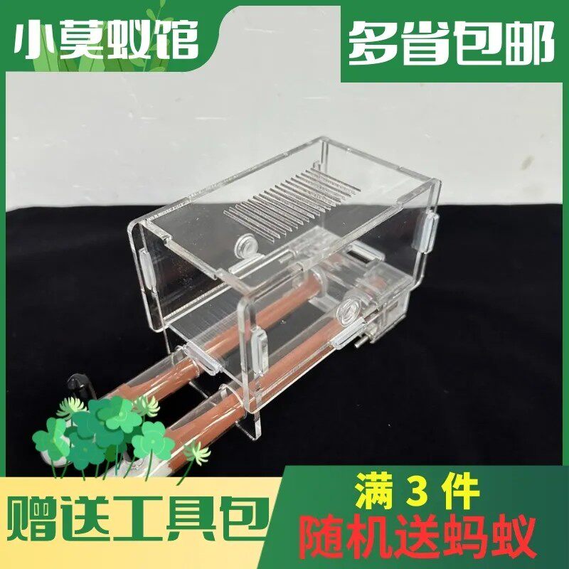 小莫蚁馆 底部双试管巢 亚克力石膏铺地巢 蚂蚁宠物巢 工坊城堡