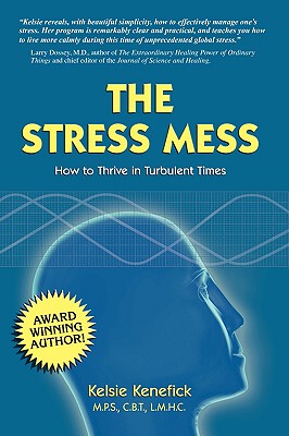 【预售】The Stress Mess: How to Thrive in Turbulent Times