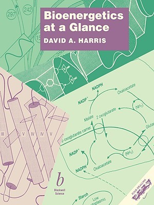 【预售】Bioenergetics At A Glance - An Illustrated