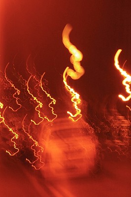 【预售】Anything Anymore Anywhere Spring 2010